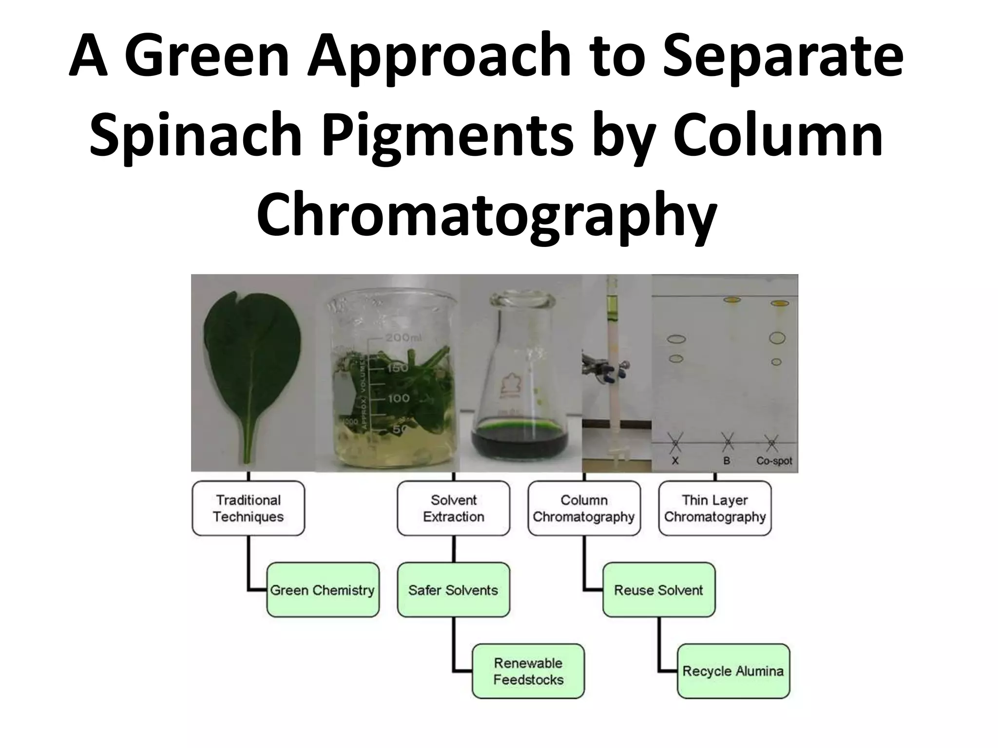 6 isolation of plant pigments using cc and tlc 5_dec2012 | PPTX