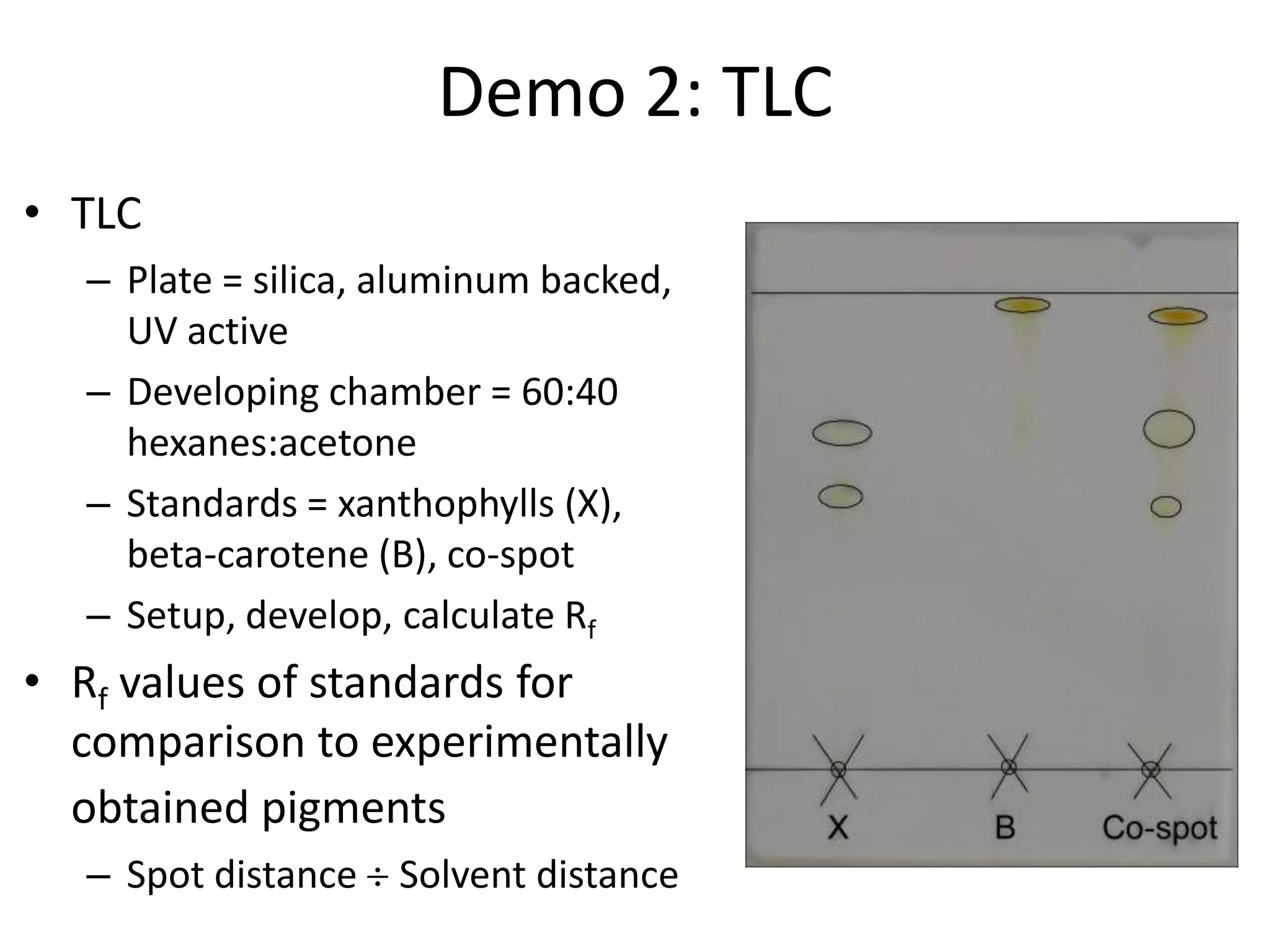 6 isolation of plant pigments using cc and tlc 5_dec2012 | PPTX