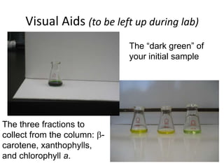 6 isolation of plant pigments using cc and tlc 5_dec2012 | PPTX