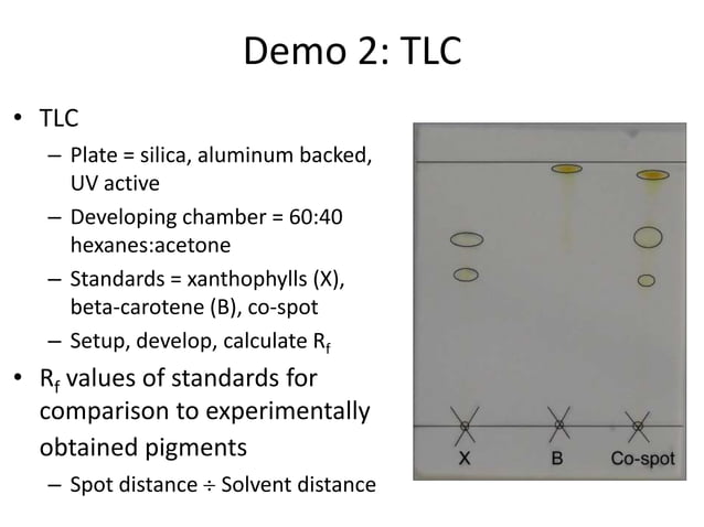6 isolation of plant pigments using cc and tlc 5_dec2012 | PPTX