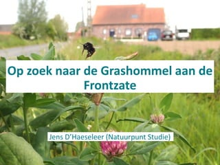 6_JensD'Haeseleer_Grashommelpresentatie bijensymposium 2023.pptx