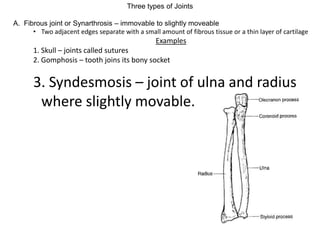 Anatomy and Physiology 6 joints | PPTX