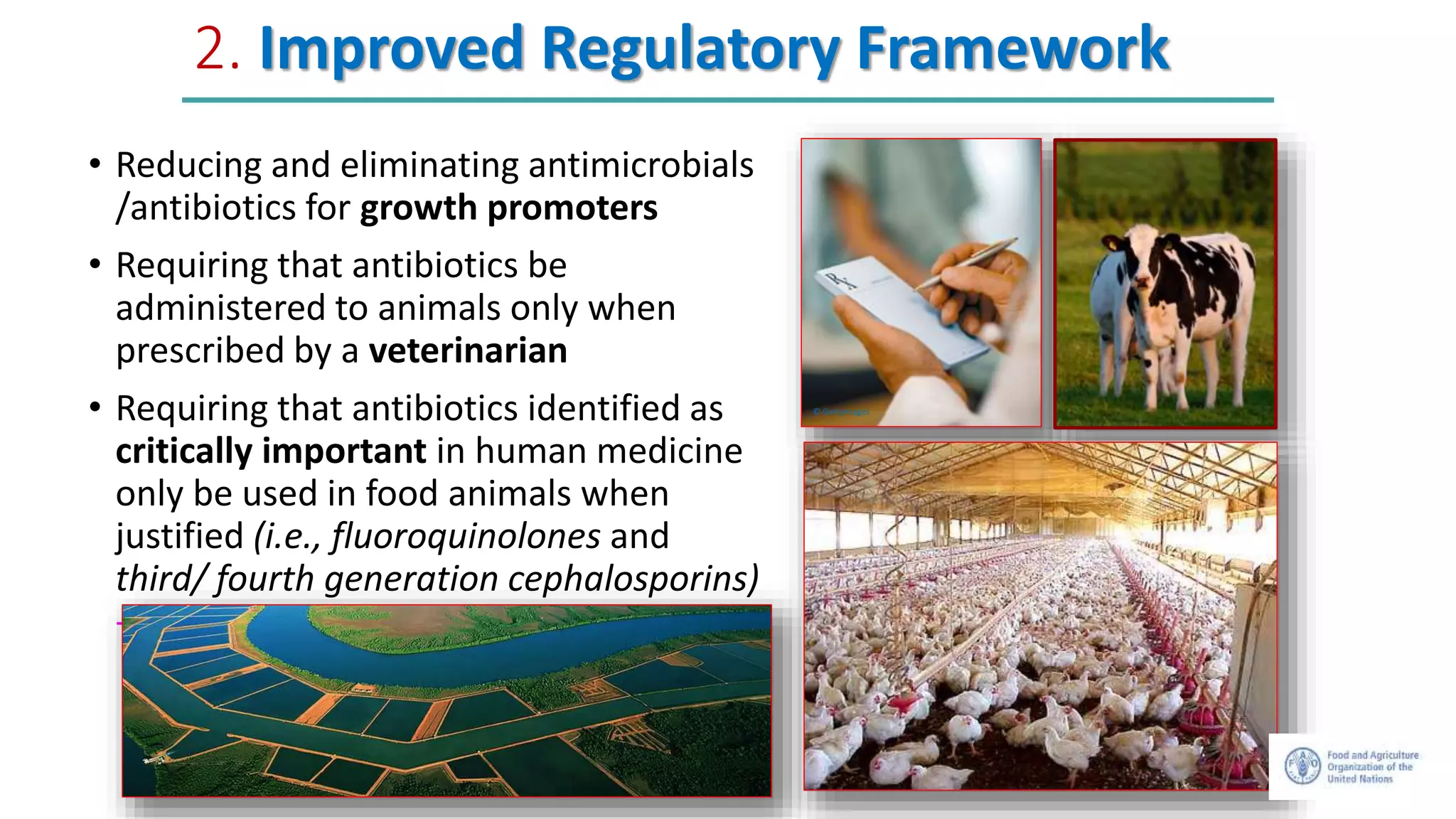Antimicrobial Resistance: A One Health Challenge for Joint Action | PPTX