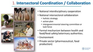 Antimicrobial Resistance: A One Health Challenge for Joint Action | PPTX