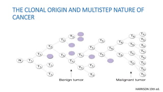 cancer genetics, tumor marker and targeted therapy in cancer | PPTX