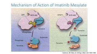 cancer genetics, tumor marker and targeted therapy in cancer | PPTX