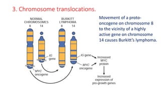 cancer genetics, tumor marker and targeted therapy in cancer | PPTX