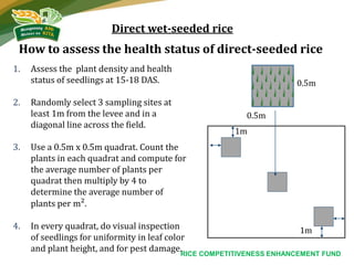 6_KeyCheck_4.pptxxxxxxxxxxxxxxxxxxxxxxxxxxx | PPTX