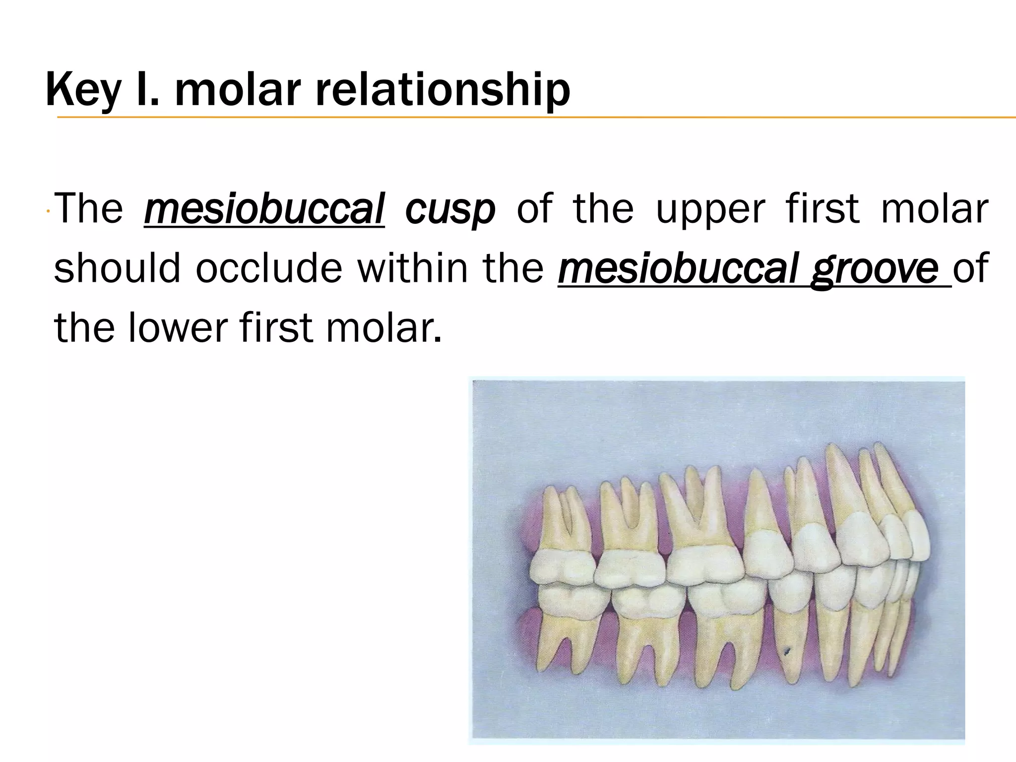 6 keys of occlusion-converted.pdf