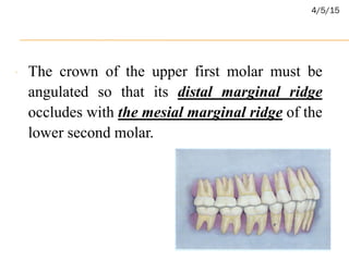 6 keys of occlusion-converted.pdf