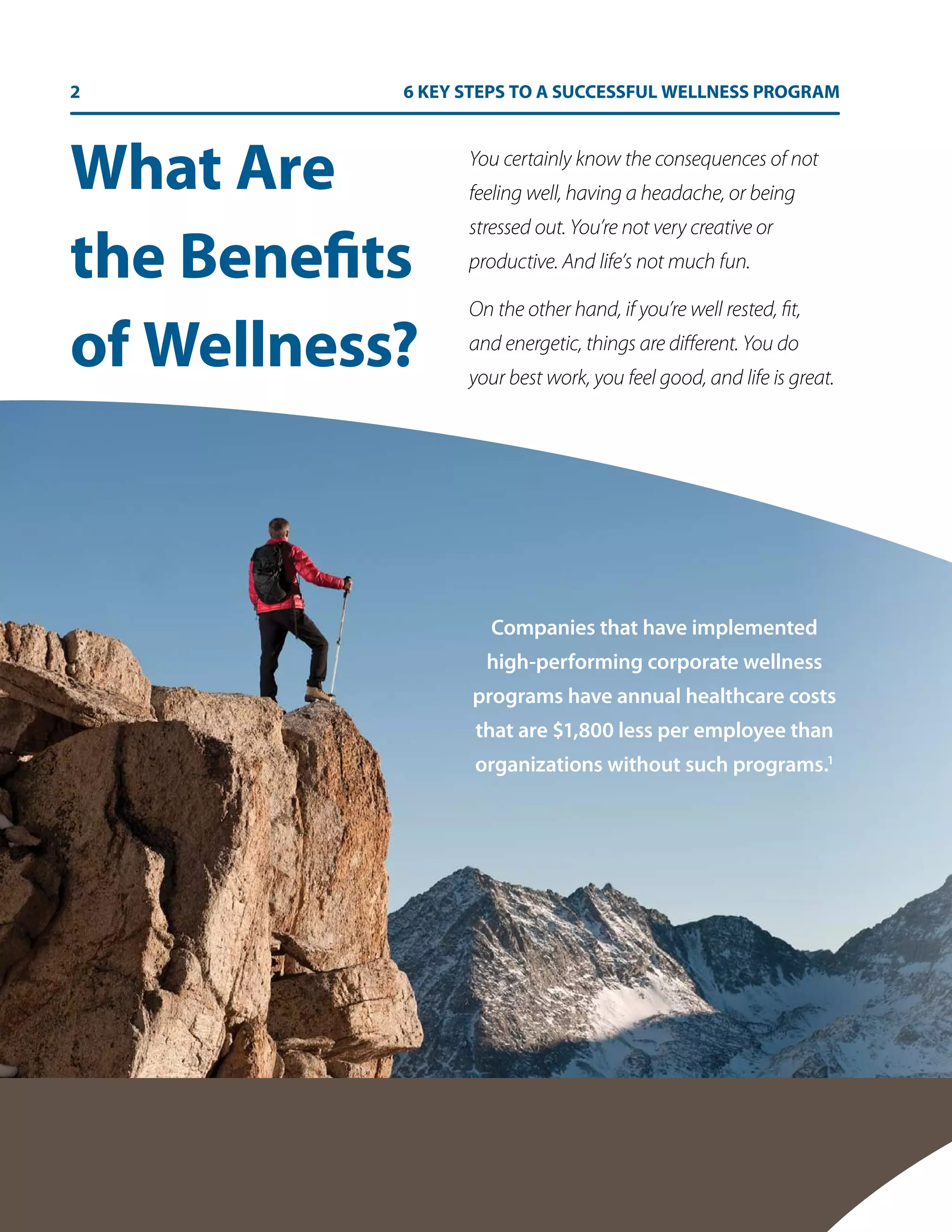 6 Key Steps to a Successful Wellness Program | PDF