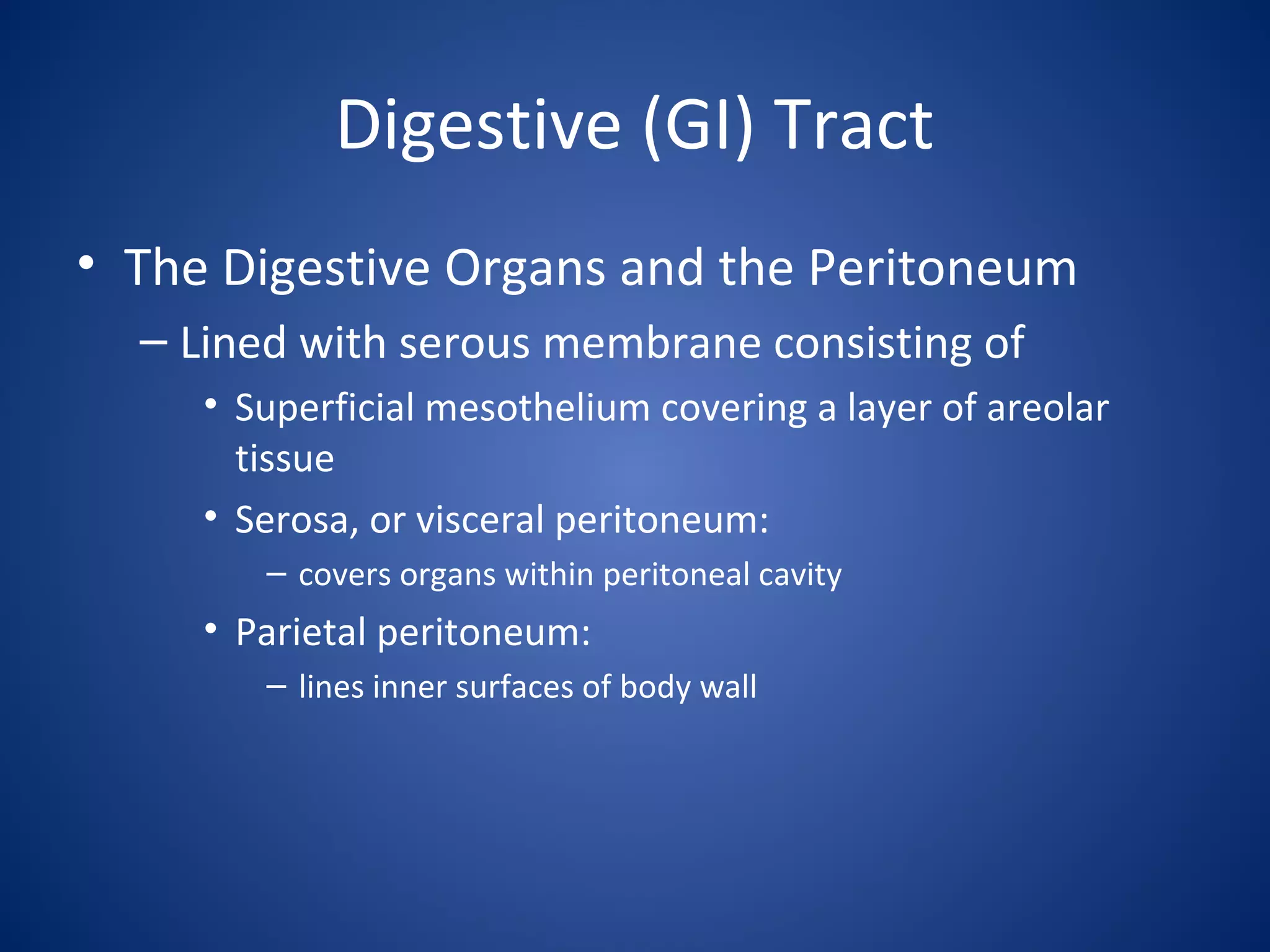 Digestive system | PPT
