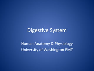 Digestive system | PPT