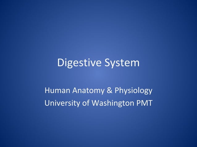 Digestive system | PPT