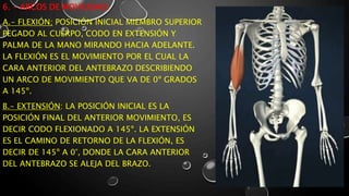 6 KINESIOLOGIA DE LA ARTICULACION DE CODO Y ANTEBRAZO.pptx