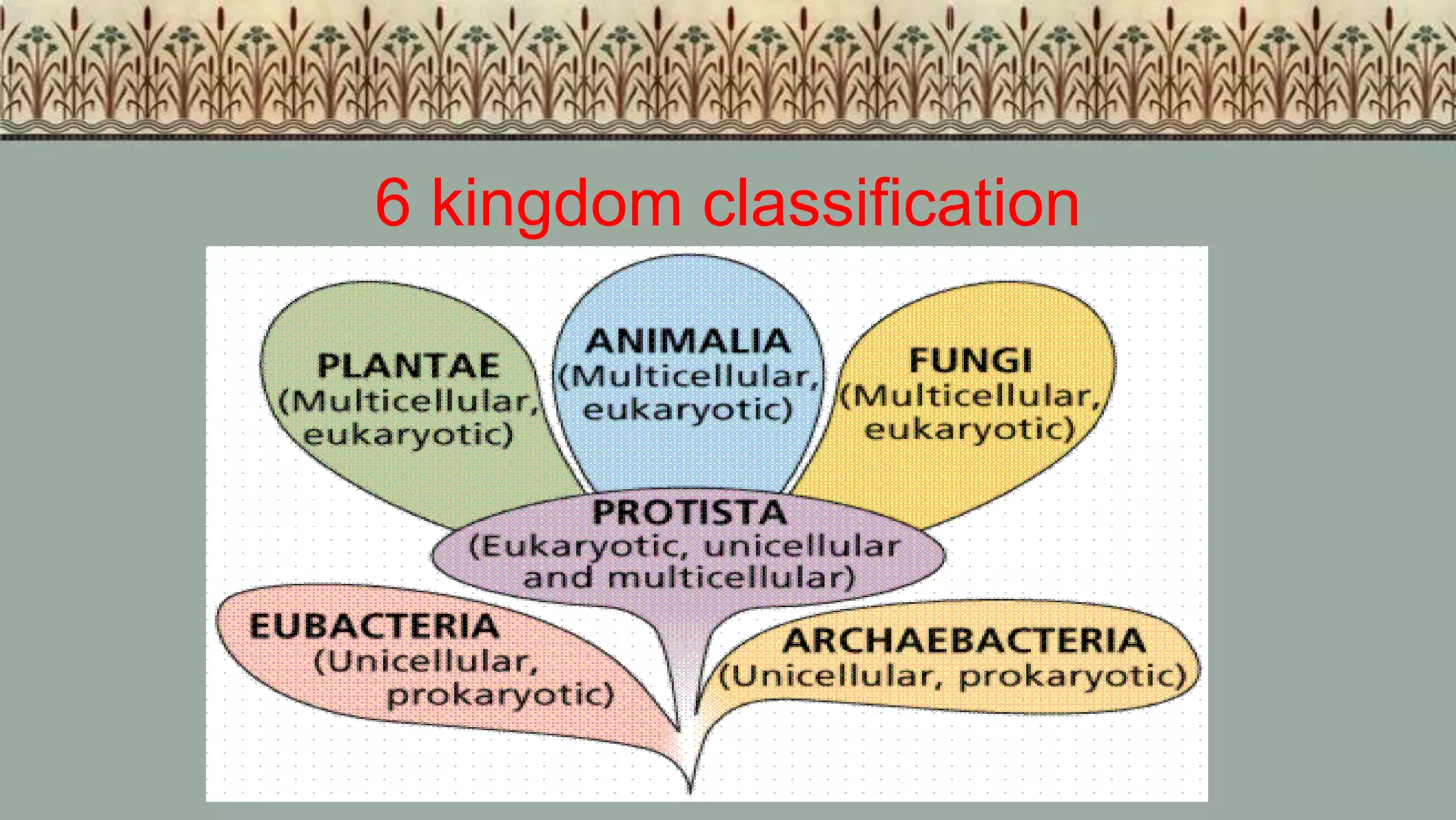6 kingdoms classification | PPT