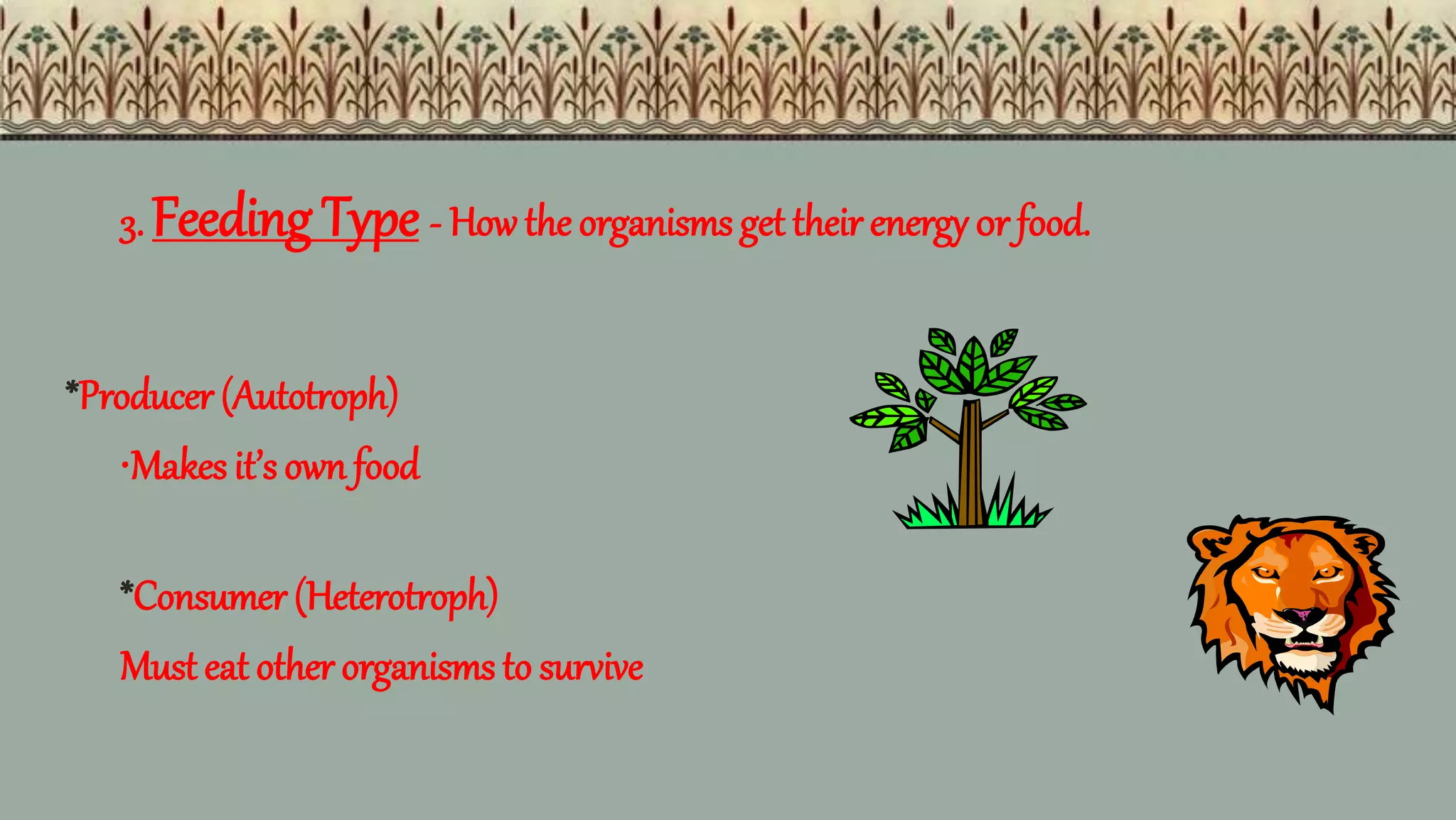 6 kingdoms classification | PPT