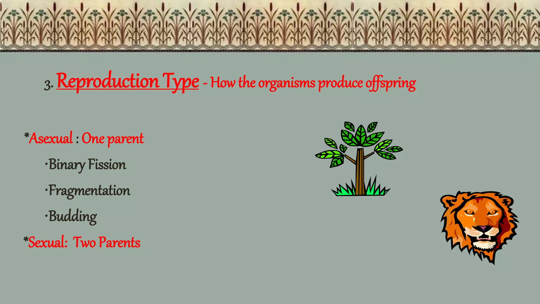 6 kingdoms classification | PPT