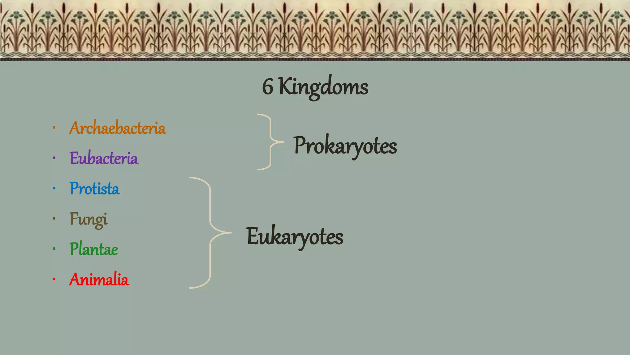 6 kingdoms classification | PPT