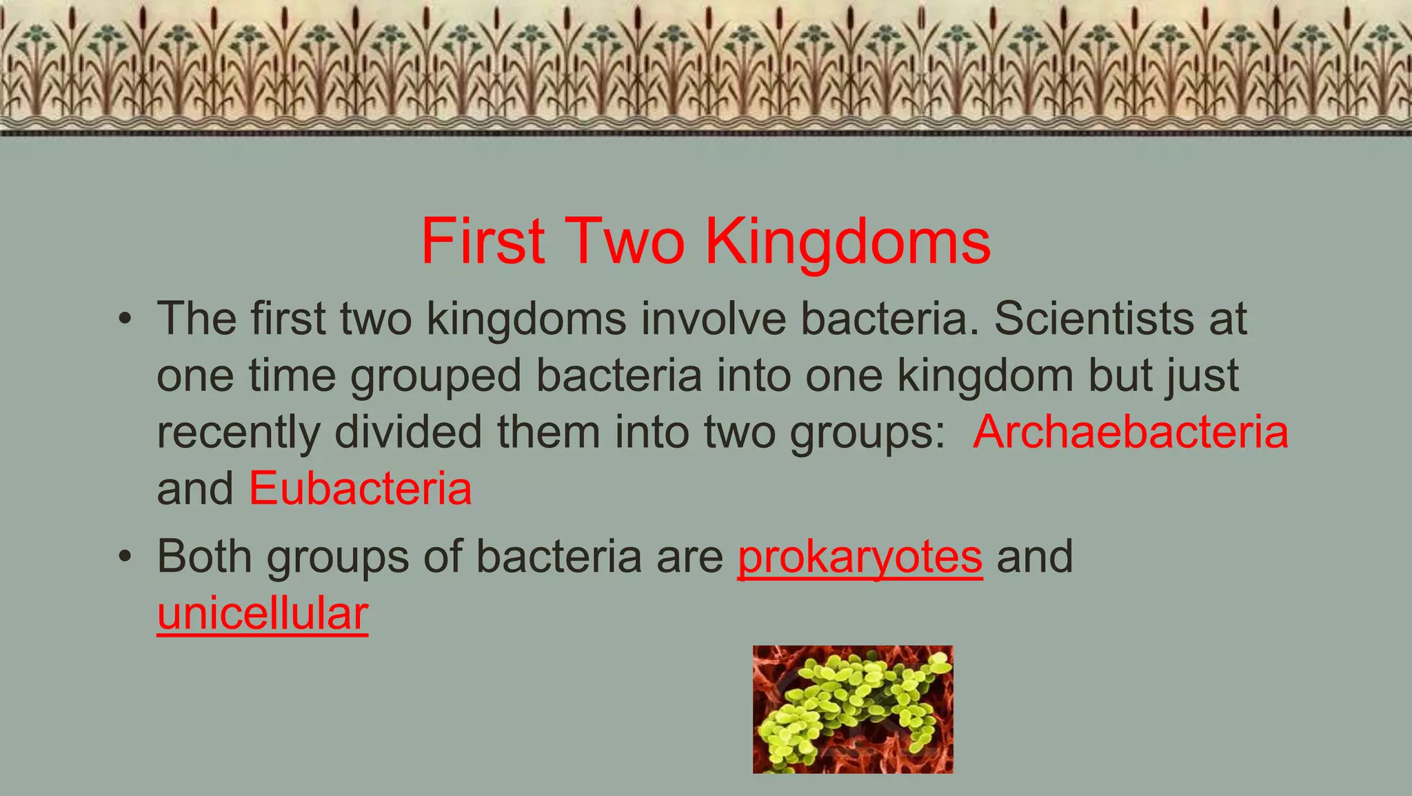6 kingdoms classification | PPT