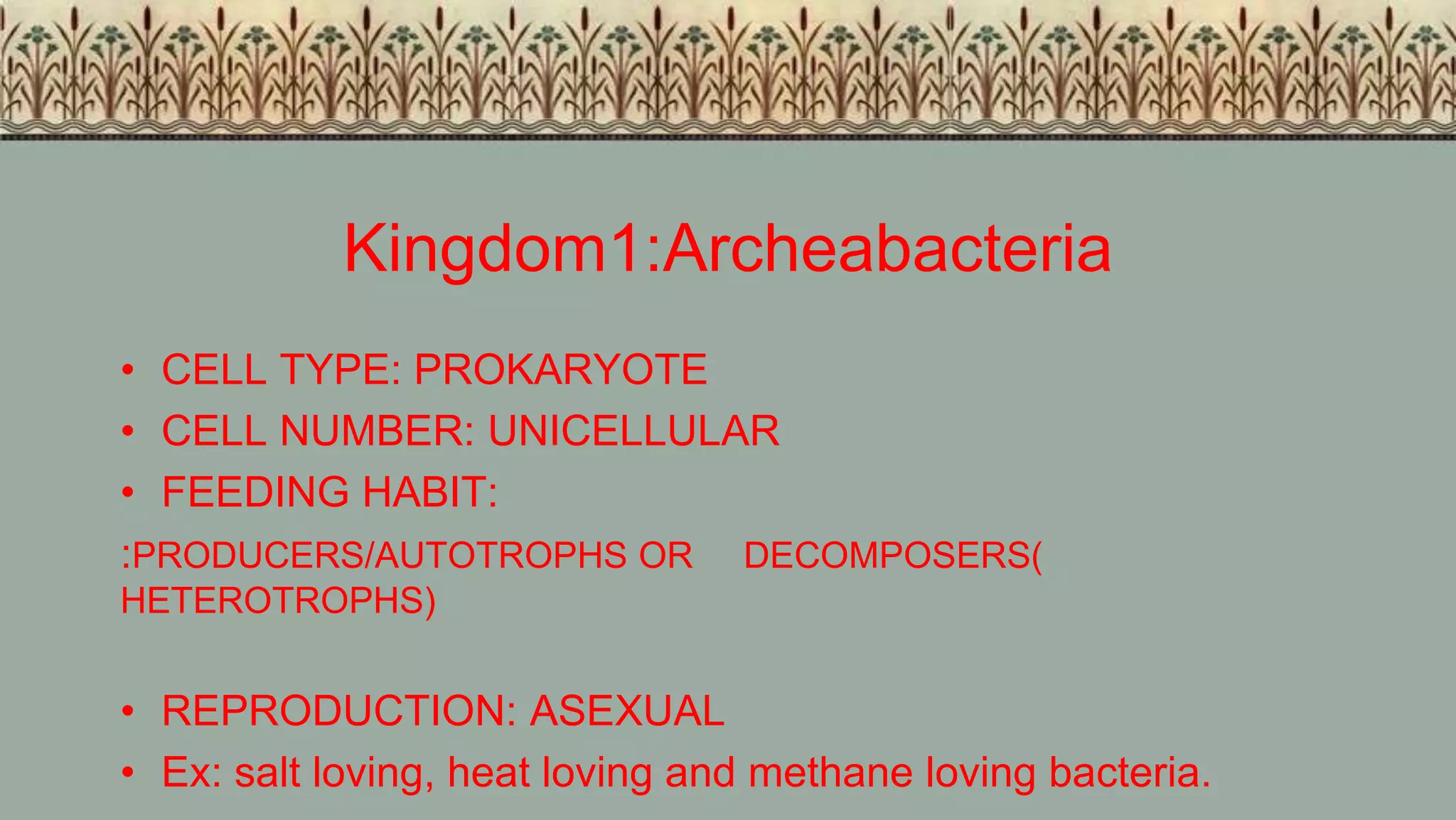 6 kingdoms classification | PPT