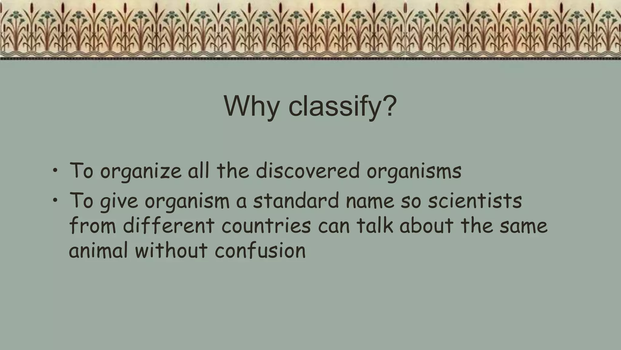6 kingdoms classification | PPT