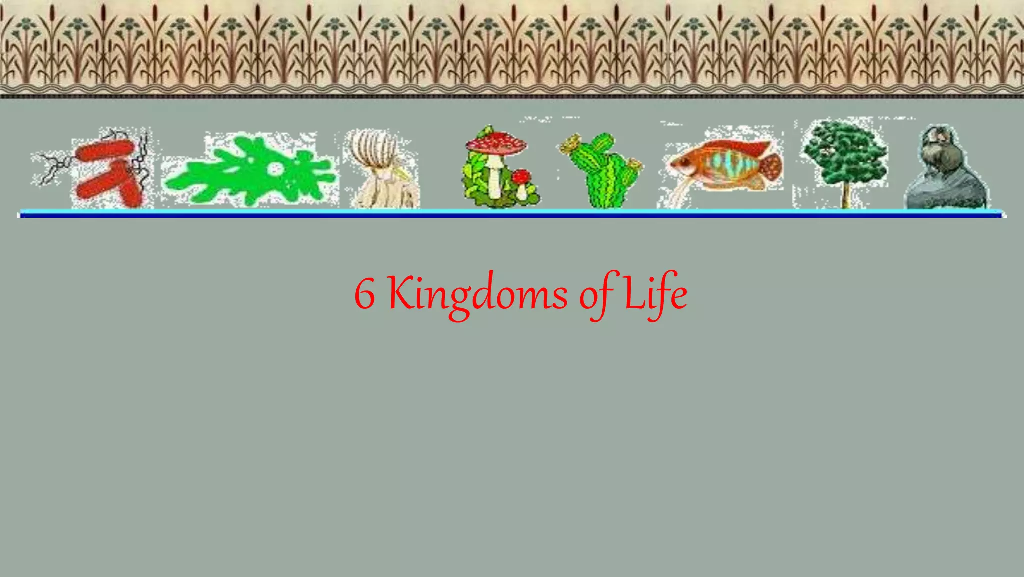 6 kingdoms classification | PPT