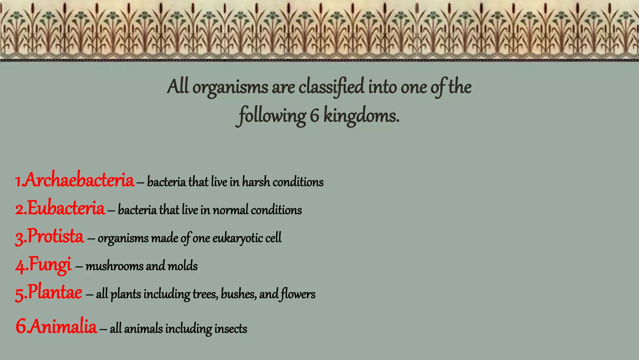 6 kingdoms classification | PPT