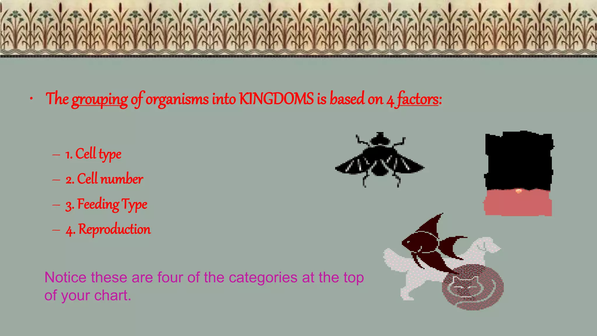 6 kingdoms classification | PPT