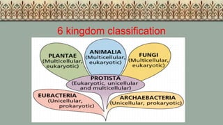 Six Kingdom Classification Chart