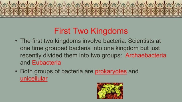 6 kingdoms classification | PPT