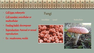 6 kingdoms classification | PPT