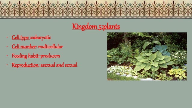 6 kingdoms classification | PPT