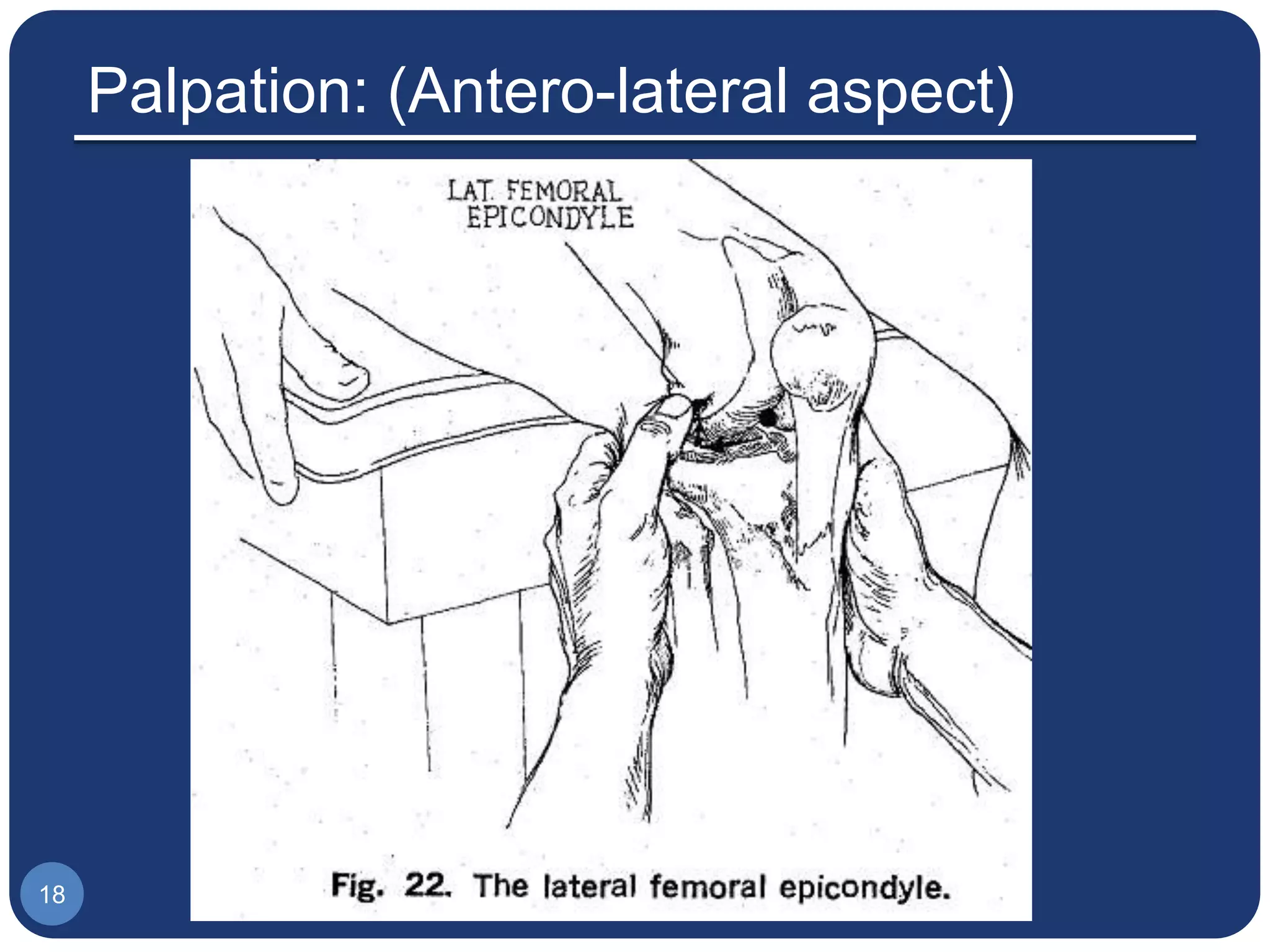 6 knee joint palpation | PPTX
