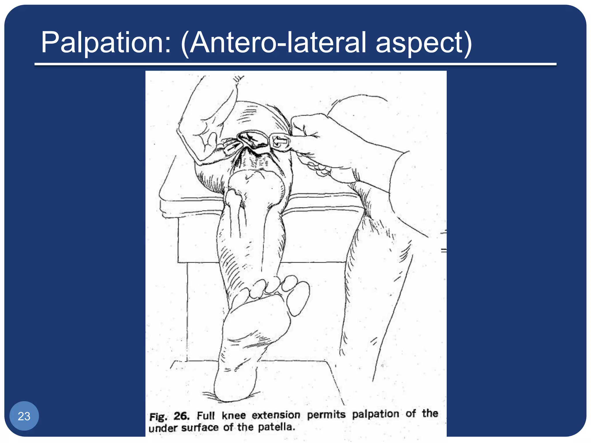 6 knee joint palpation | PPTX