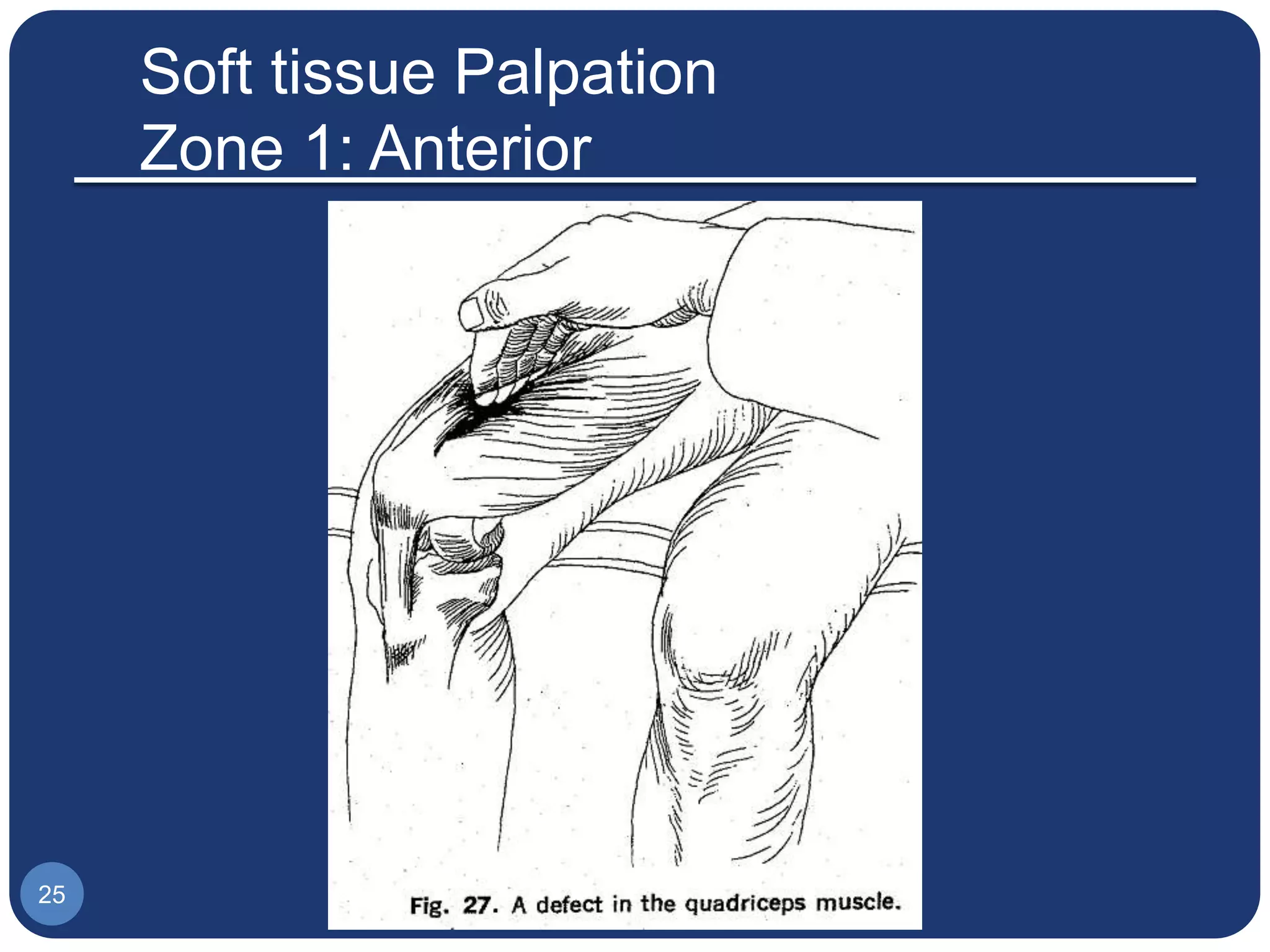 6 knee joint palpation | PPTX