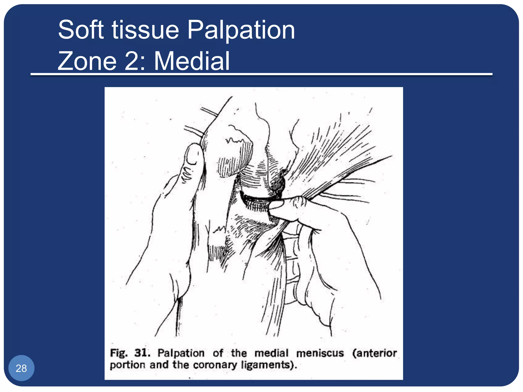 6 knee joint palpation | PPTX