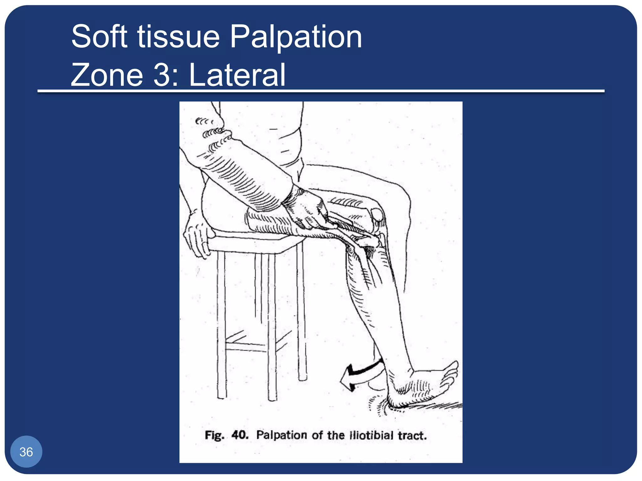 6 knee joint palpation | PPTX