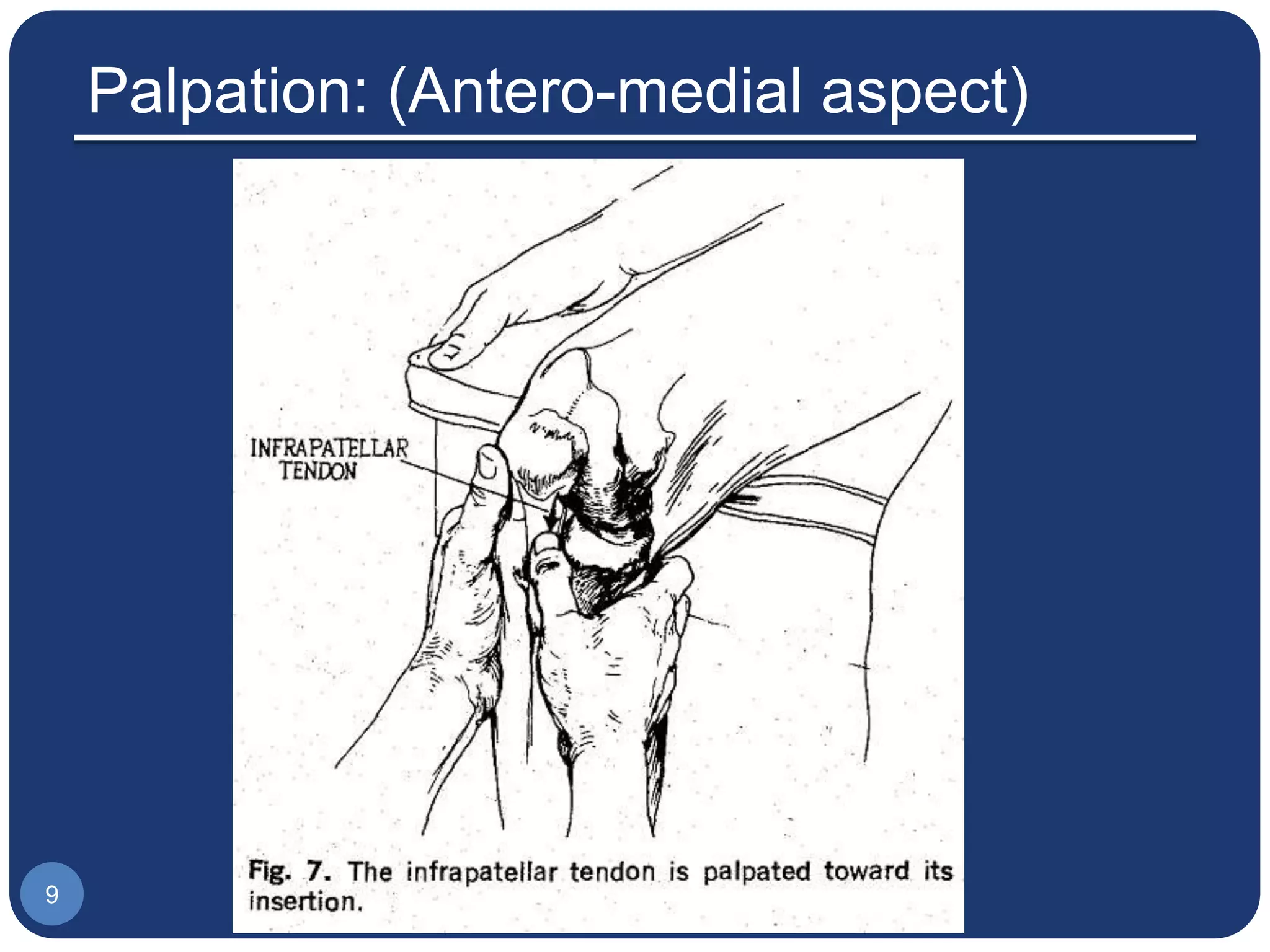 6 knee joint palpation | PPTX
