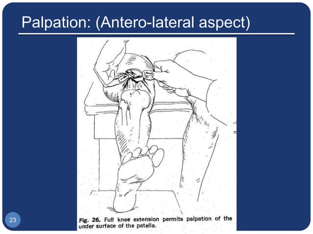 6 knee joint palpation | PPT