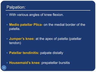 6 knee joint palpation | PPT