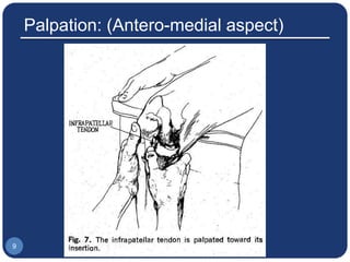 6 knee joint palpation | PPT