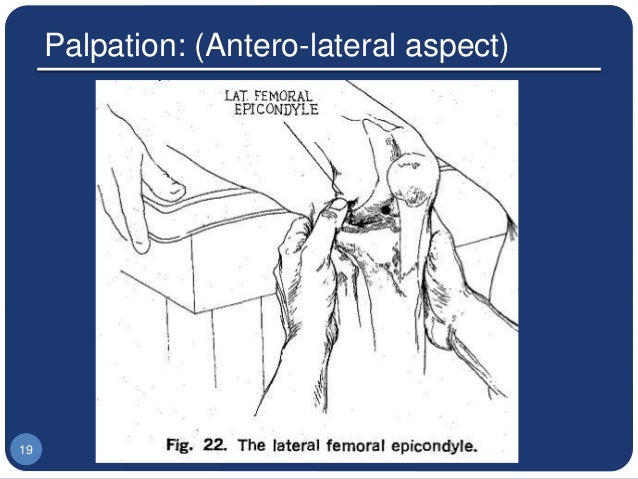 6 knee joint palpation