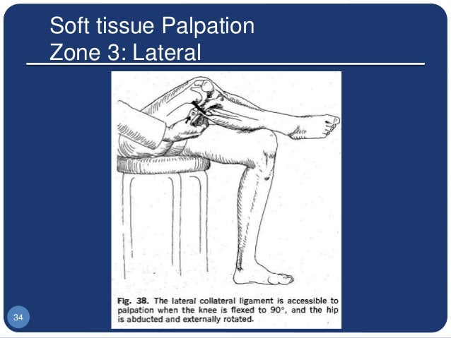 6 knee joint palpation