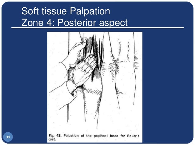 6 knee joint palpation
