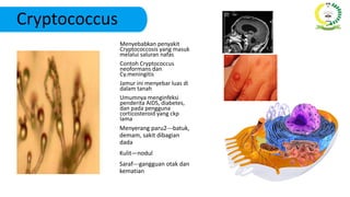 6 Konsep Mikologi.pdf