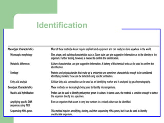 [Micro] classification of prokaryotes | PPT