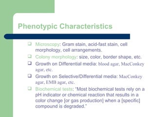 [Micro] classification of prokaryotes | PPT