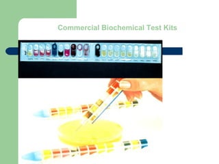[Micro] classification of prokaryotes | PPT