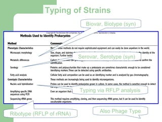 [Micro] classification of prokaryotes | PPT